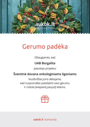 Kalėdinė parama | 2021 - Borga