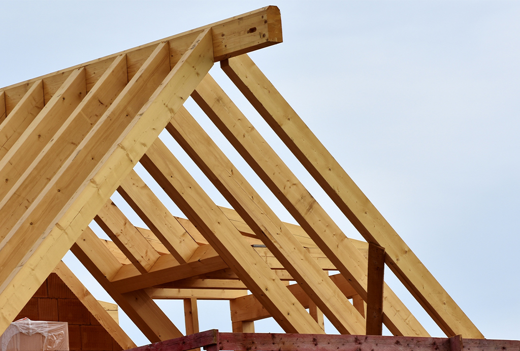 Stogo konstrukcija: ką reikėtų žinoti? Kokią pasirinkti? | Borga